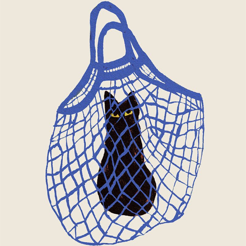 The Cat's In The Bag – Bring It Home
